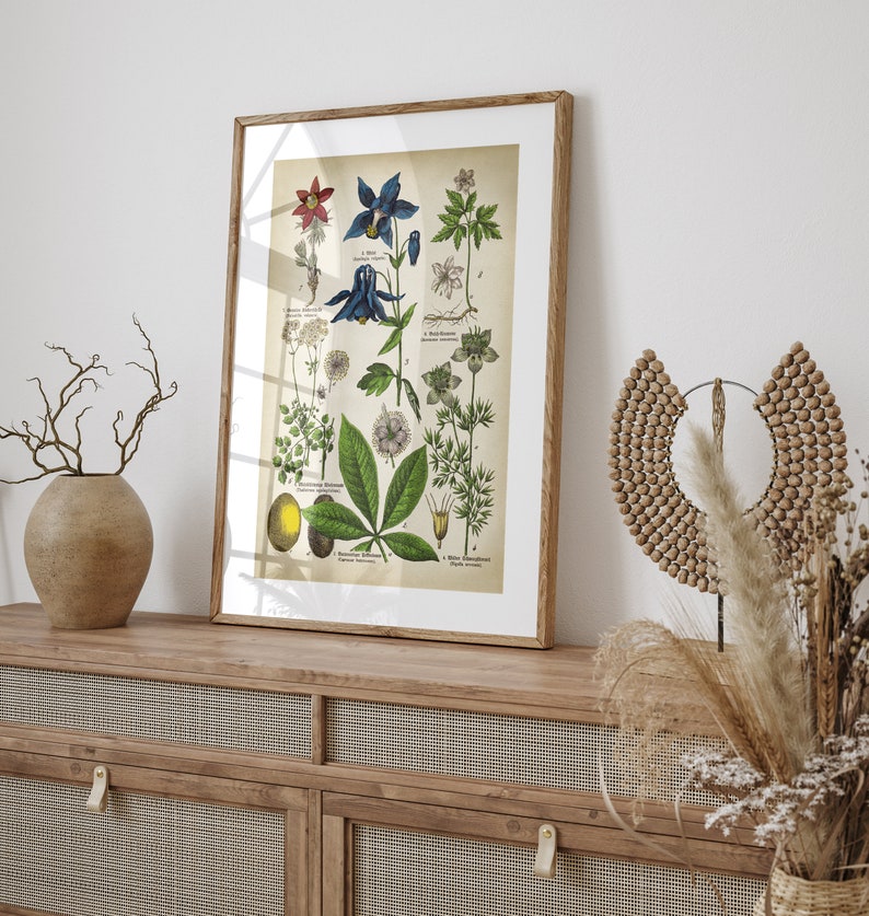 Botanical Poster Plants and Flowers Print Botanical Print - Etsy