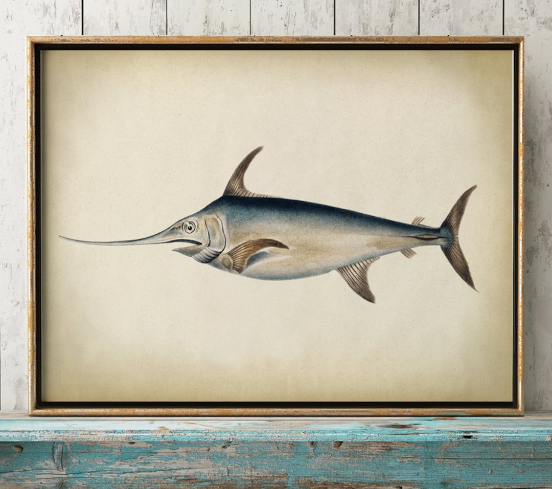 Swordfish Art Print, Sea Life Drawing, Ocean Life, Nautical Decor, Fish ...