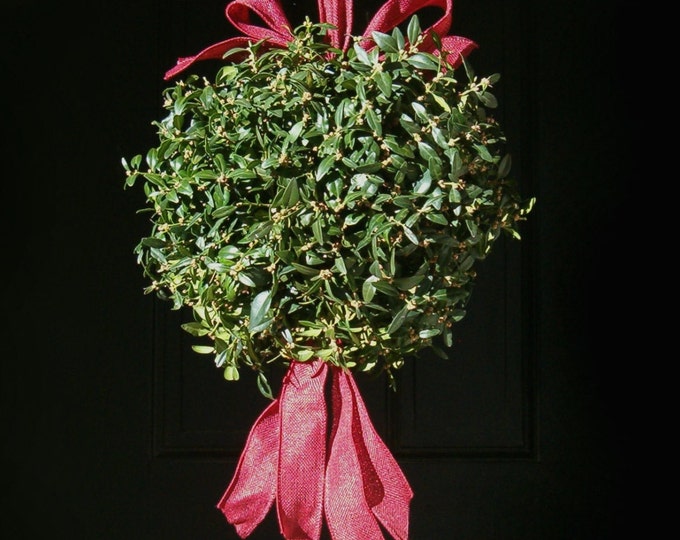 Fresh Grevillea Bunch, Real Greenery Bunch, Home Decor, Wedding ...