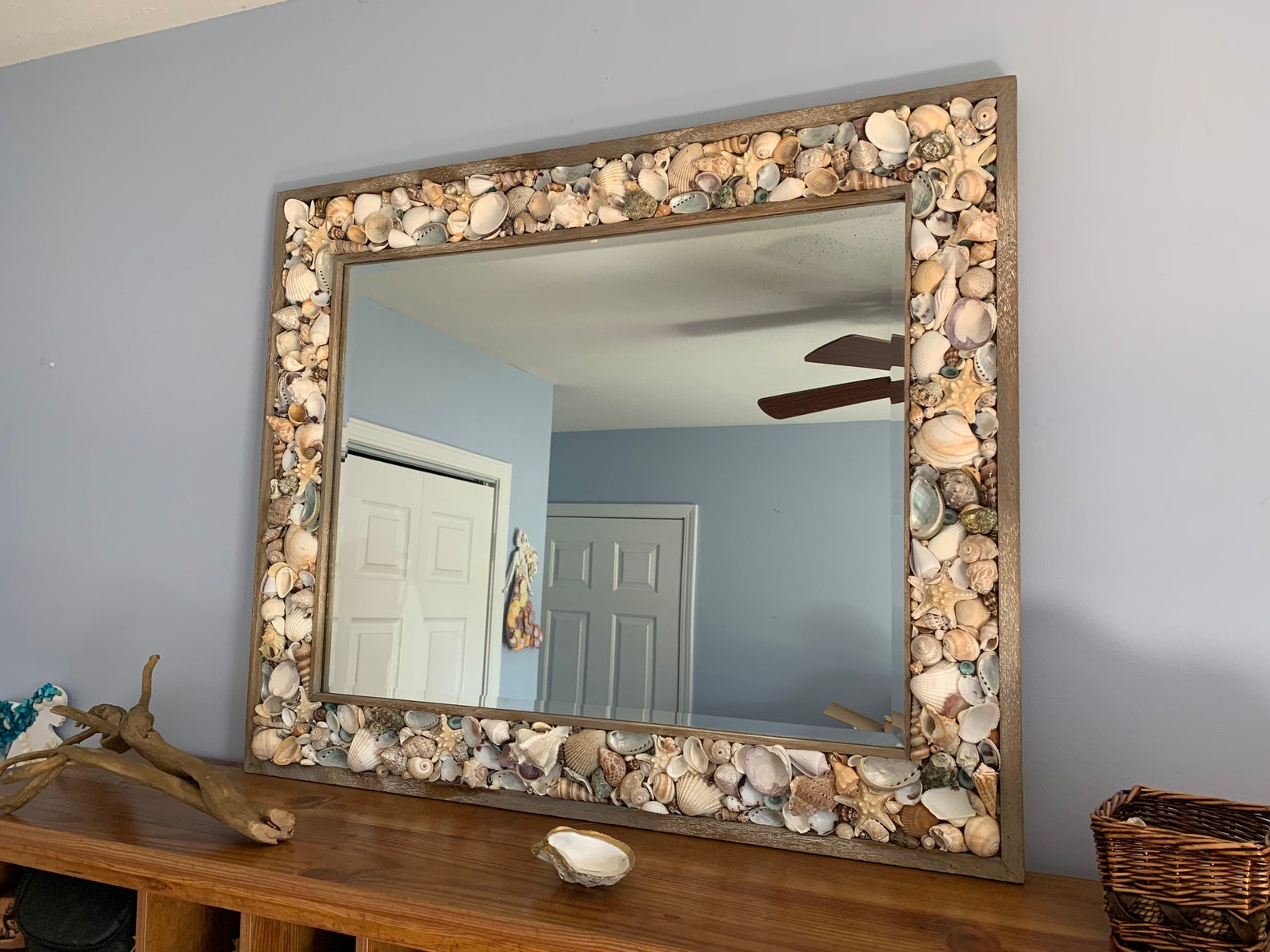 Large Seashell Mirror / Mirror With Seashell Frame / Coastal - Etsy