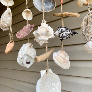 Seashell Wind Chime / Coastal Home Wall Decor / Beach Wall Art Hanging ...