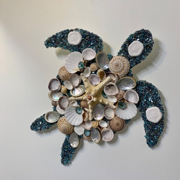 Seashell Turtle - Etsy