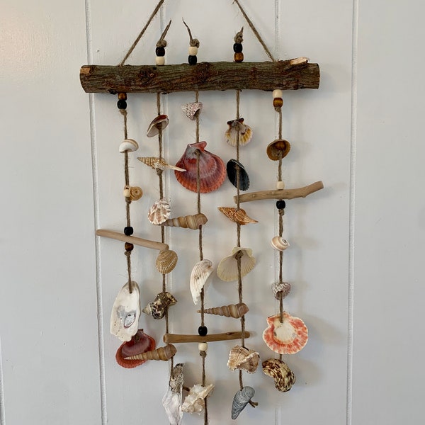 Seashell Wall Decor - Etsy