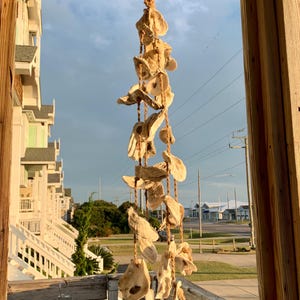 Oyster Shell Wind Chime: Coastal Farmhouse Garden Decor (28” Long) - Etsy
