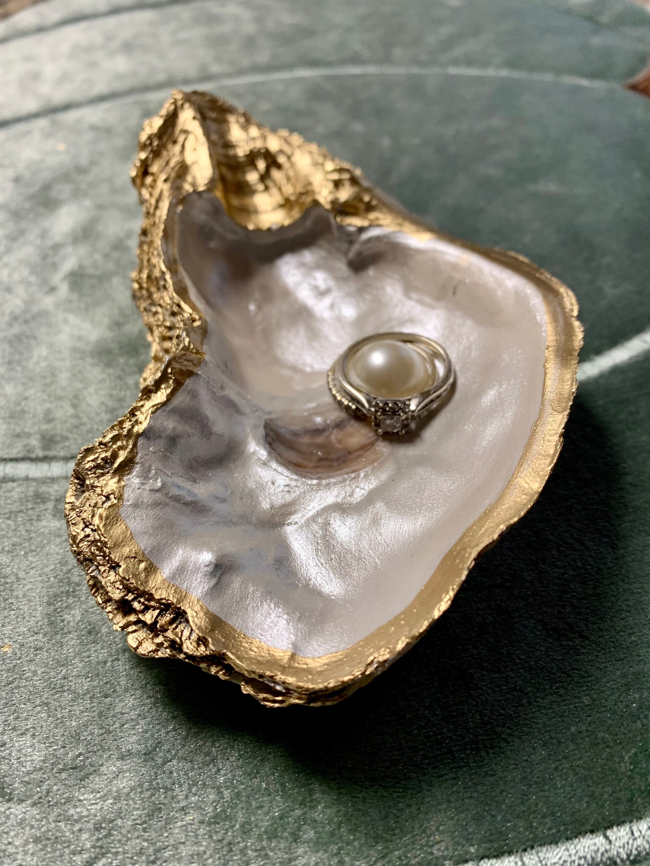 Oyster Shell Open