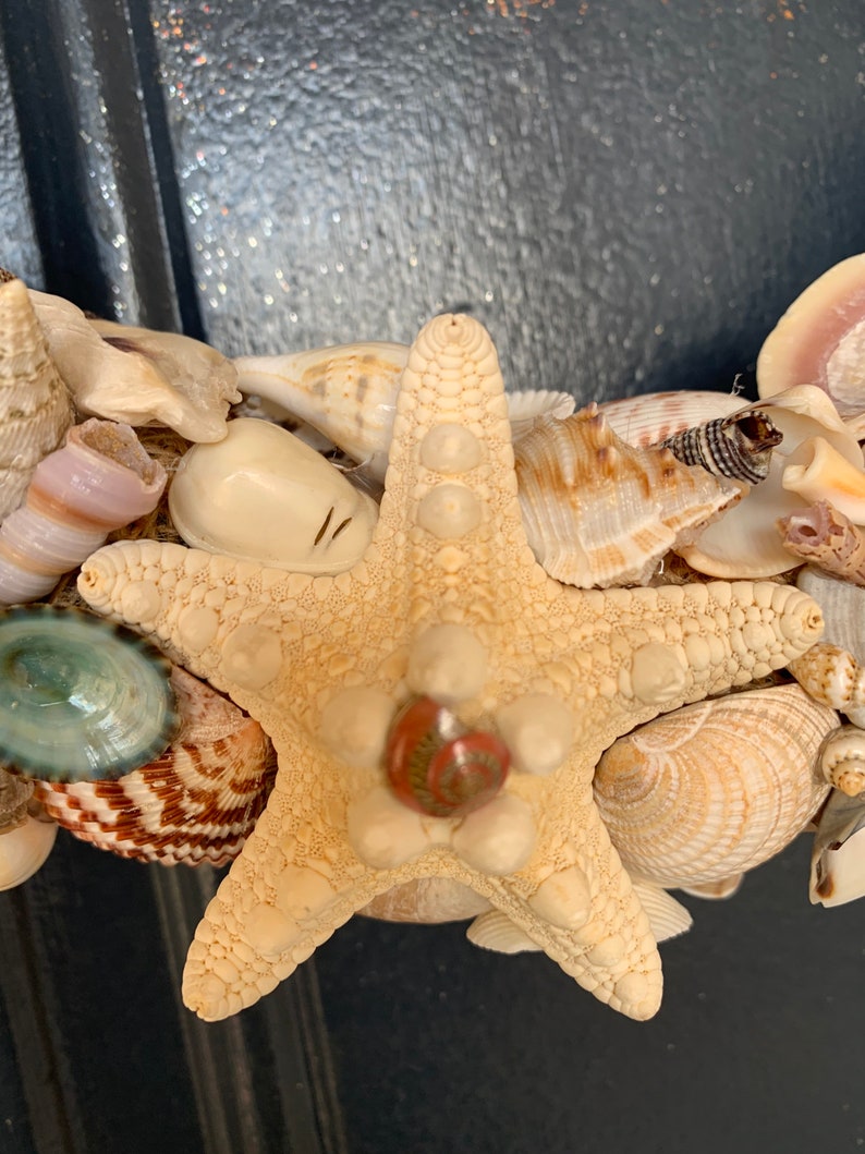 Coastal Seashell Wreath: Armored Starfish, Green Limpet Shells, 13" - Etsy
