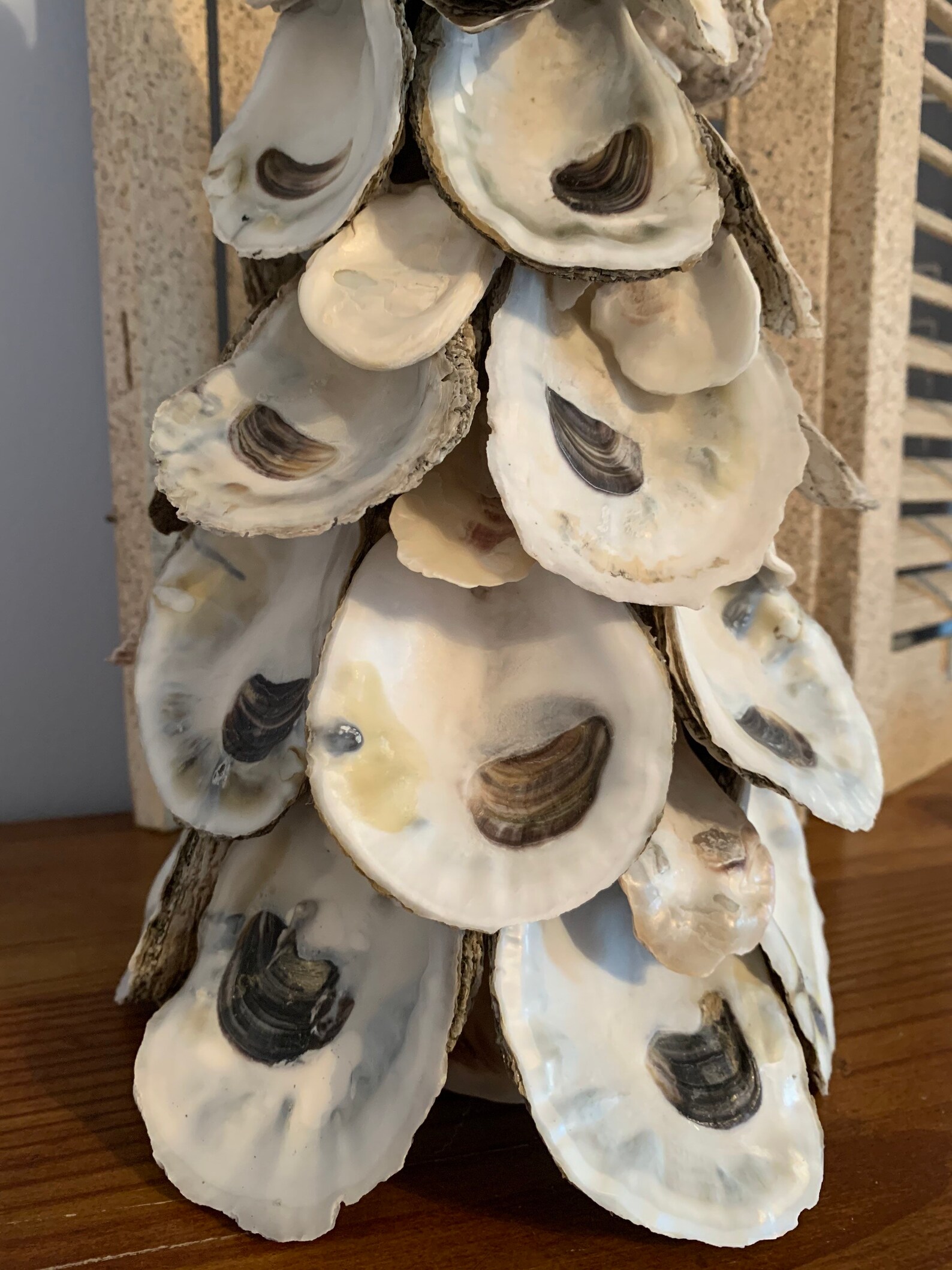 White Oyster Shell Topiary / Coastal Christmas Tree Home Decor - Etsy White Oyster Shell Topiary / Coastal Christmas Tree Home Decor - Etsy