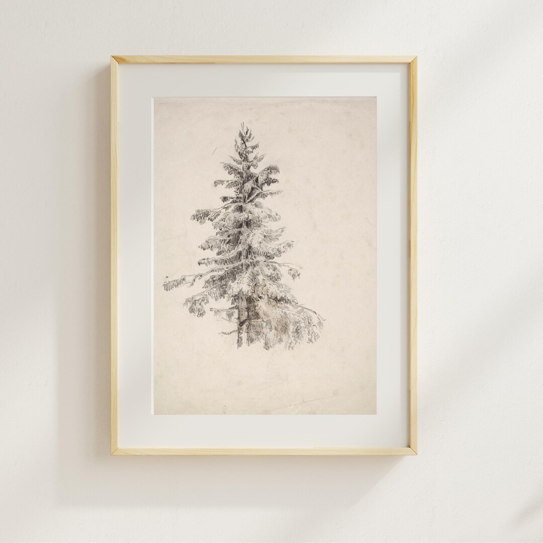 Antique Sketch of Conifers, Downloadable Art Print, Group of Conifers ...