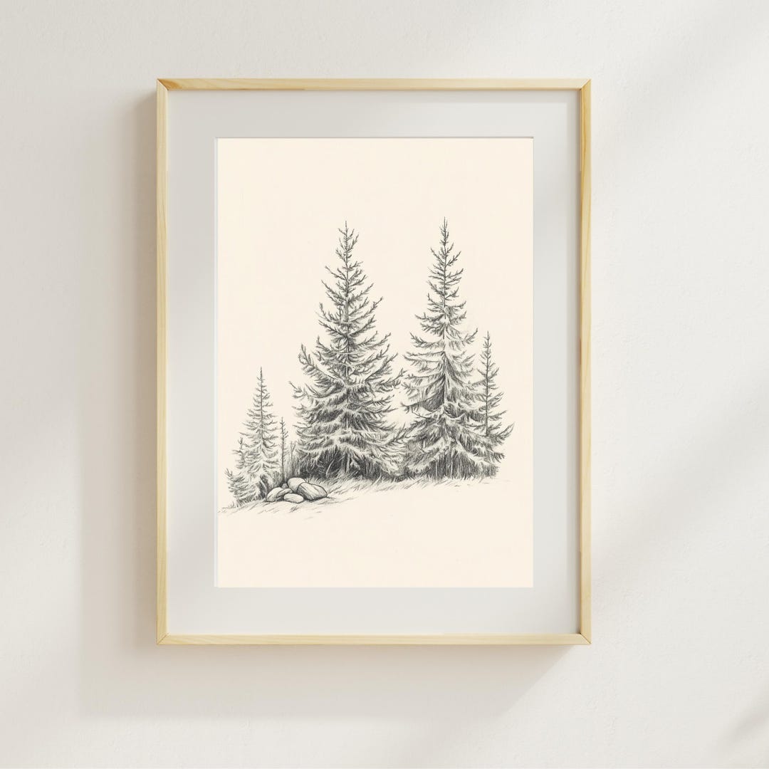Antique Sketch of Conifers, Downloadable Art Print, Group of Conifers ...