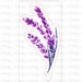 Mini Sticker LF16 Little Lavender Flower 2 Inch Sticker Permanent ...