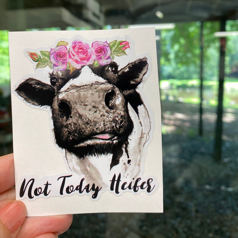 Heifer Decal - Etsy