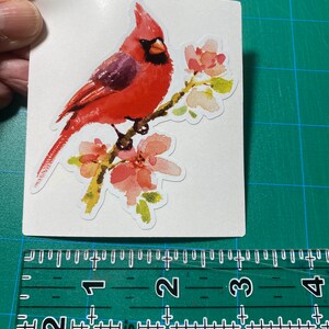 Sticker 38A Watercolor Red Cardinal With Pink Flowers PRINTED - Etsy