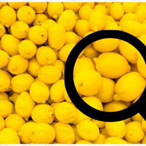 Printed Vinyl or HTV Realistic Yellow Lemons Heat Transfer Printed ...