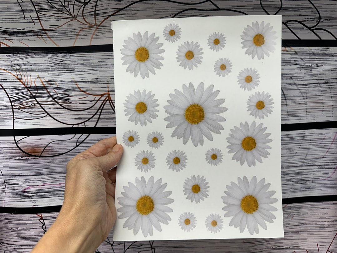 Waterslide Decals 8 X 10 Sheet of White Daisy Flowers PRINTED ...