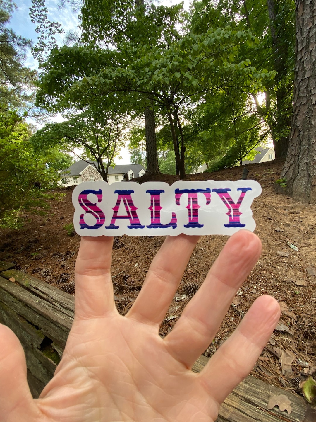 Sticker 1J Salty - the Word Salty Printed in the Pattern With PINK ...