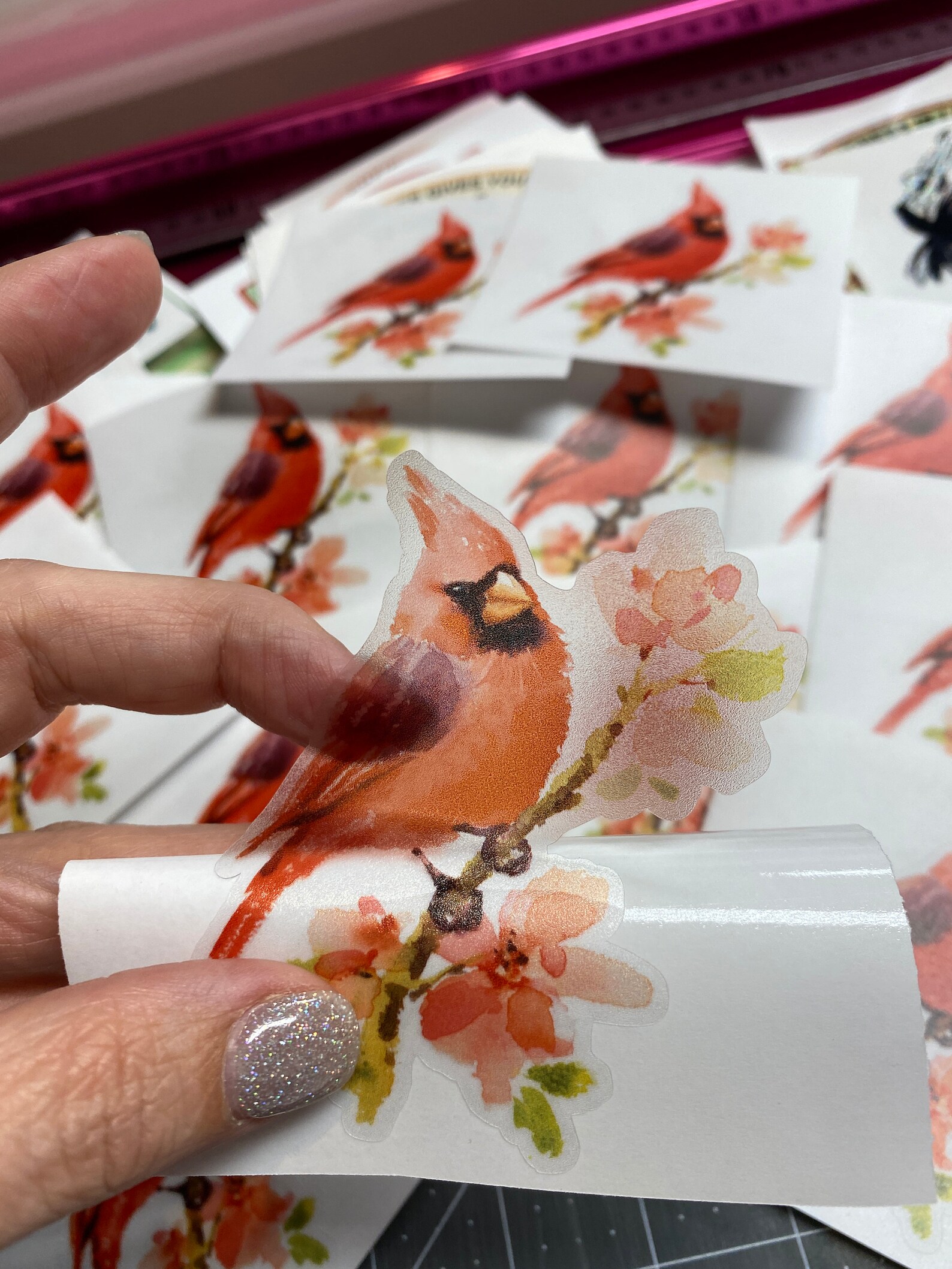 Sticker 38A Watercolor Red Cardinal With Pink Flowers PRINTED - Etsy