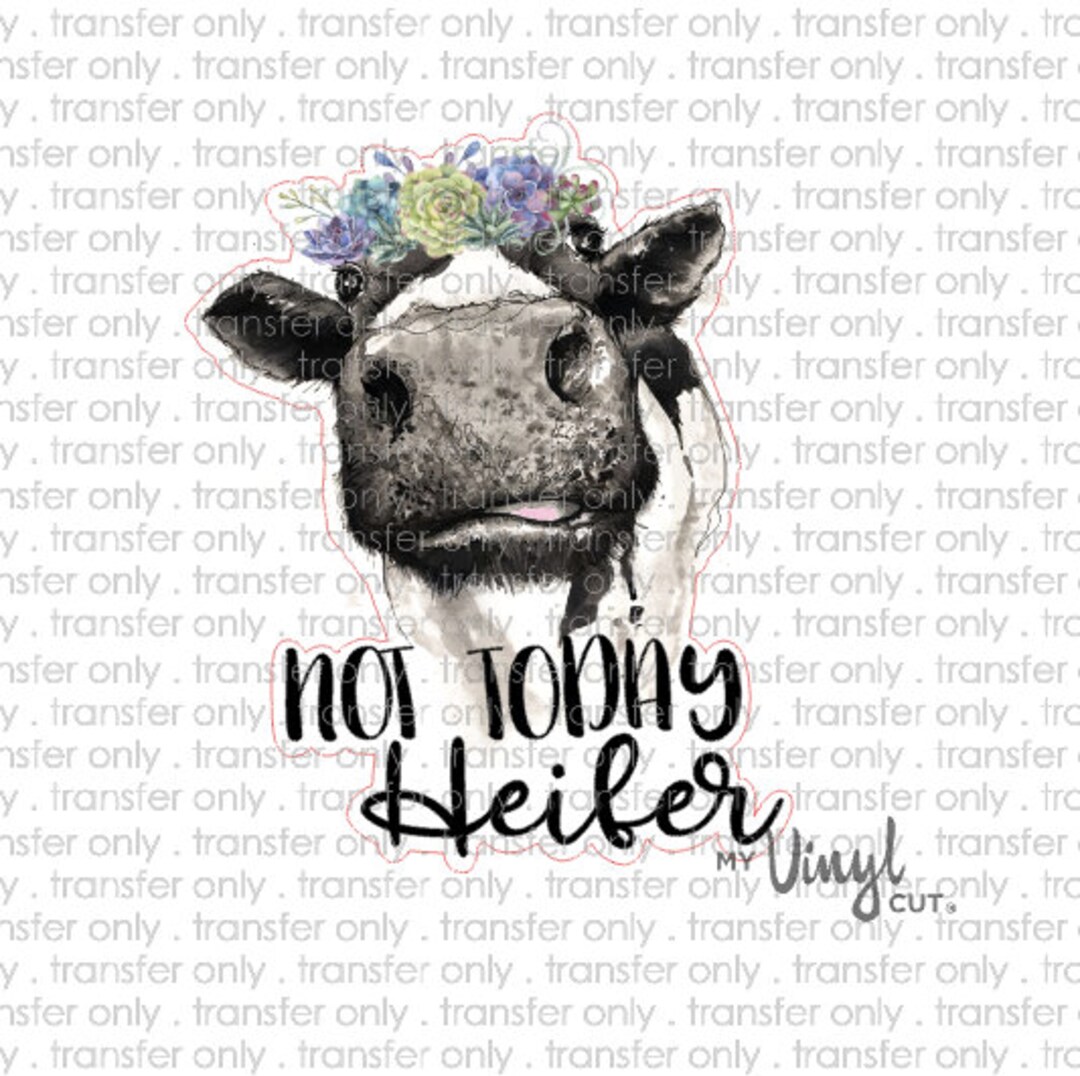 Sticker CL5 Not Today Heifer Cow With Succulents PRINTED Vinyl ...