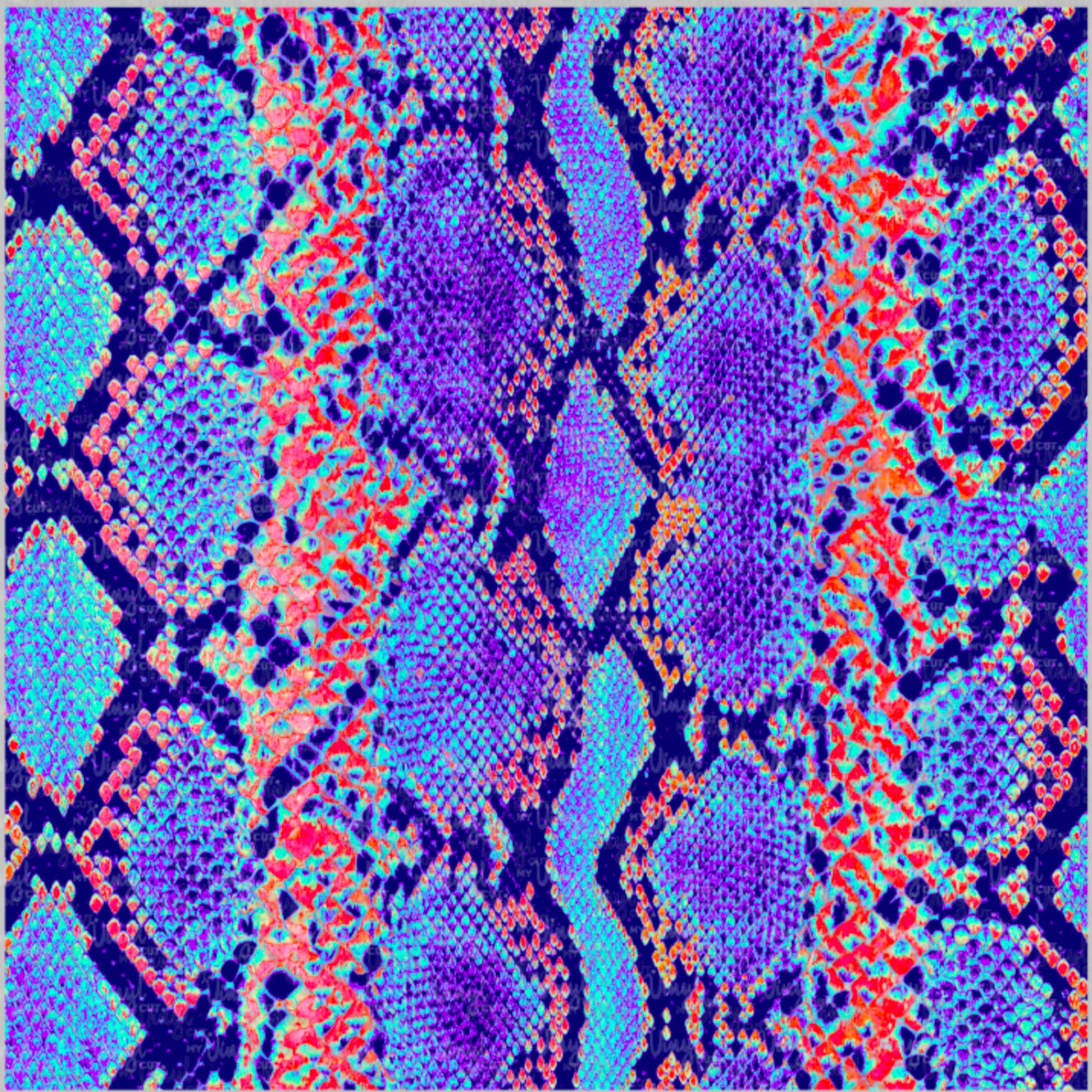 COLORFUL Neon Snake Skin Pattern Printed Heat Transfer Vinyl - Etsy