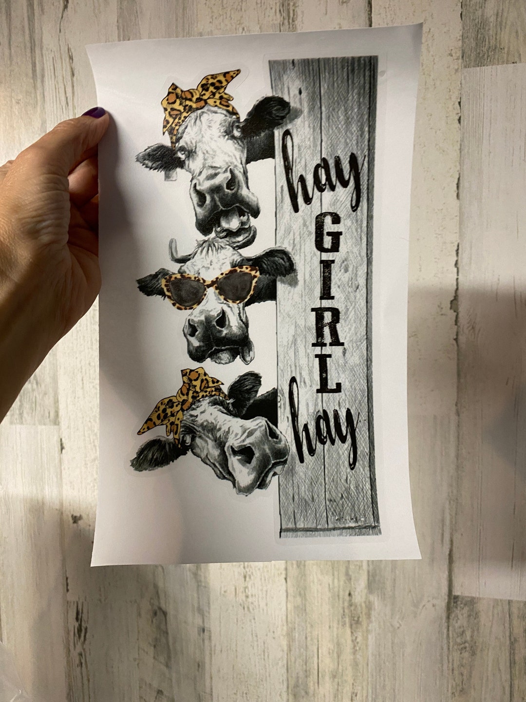 Sticker 47F Hay Girl Hay Cows on a Board Waterproof - Etsy