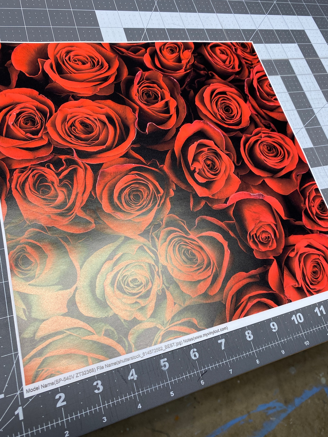 Printed HTV RED or Pink ROSES Heat Transfer Vinyl Pattern 1 Sheet for ...