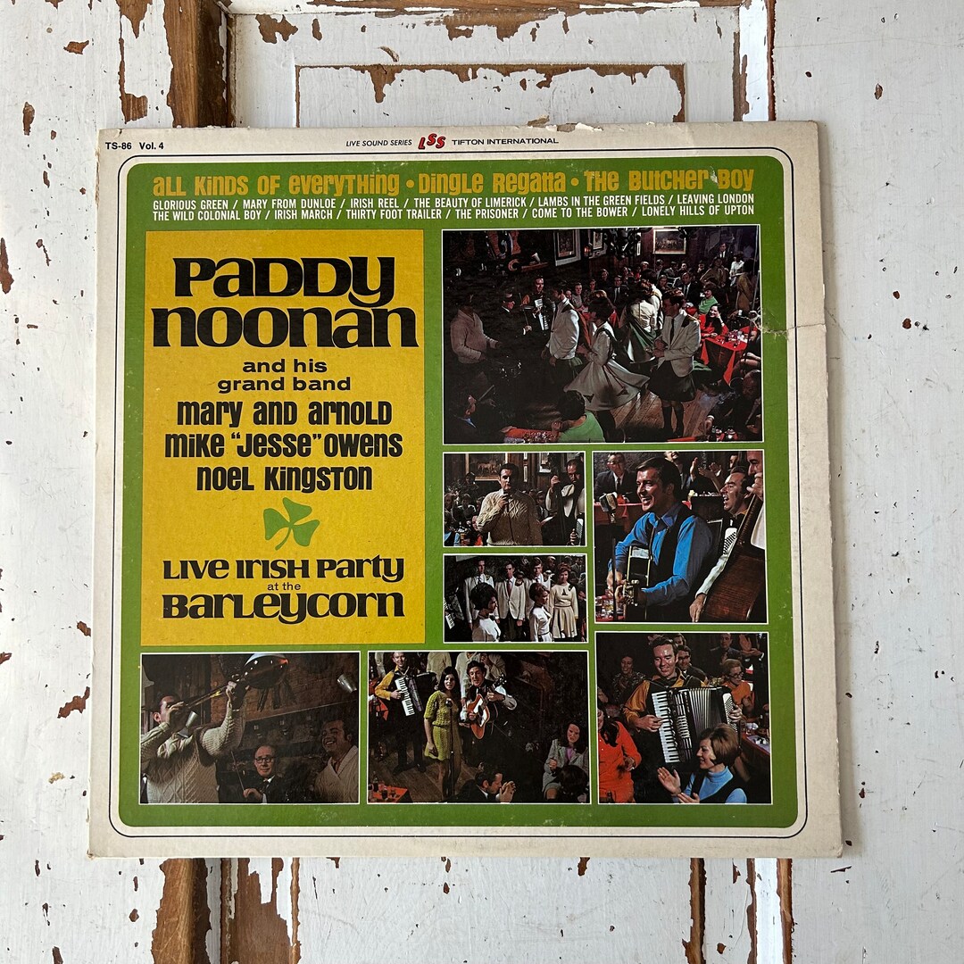 Vintage 1970 Vinyl Album Paddy Noonan Band's 'live Irish Party' LP - Etsy