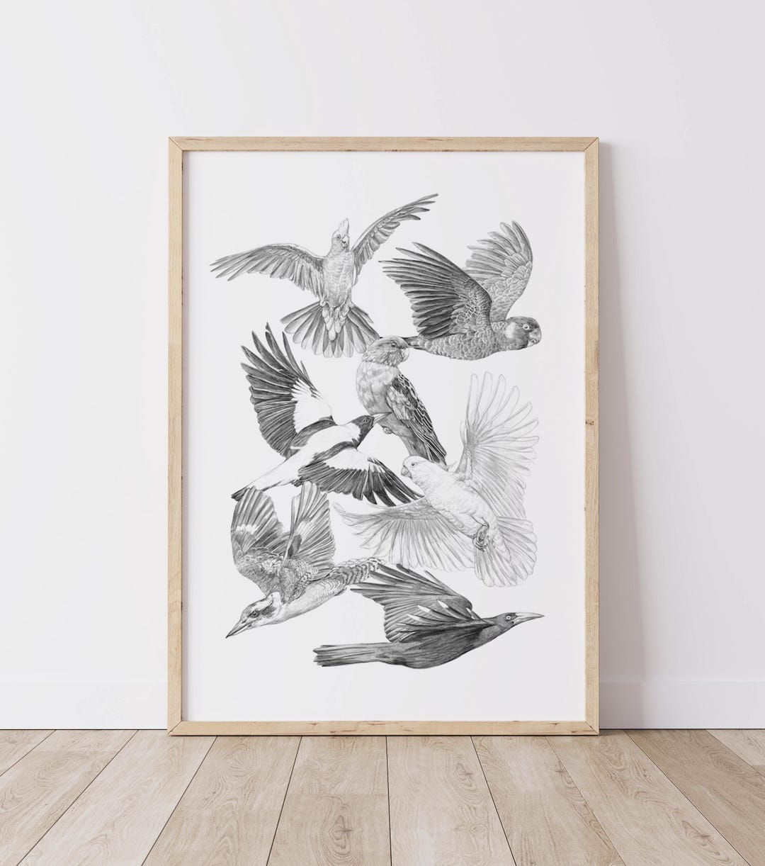Australian Birds Fine Art Print, Magpie, Kookaburra, Galah, Rosella ...