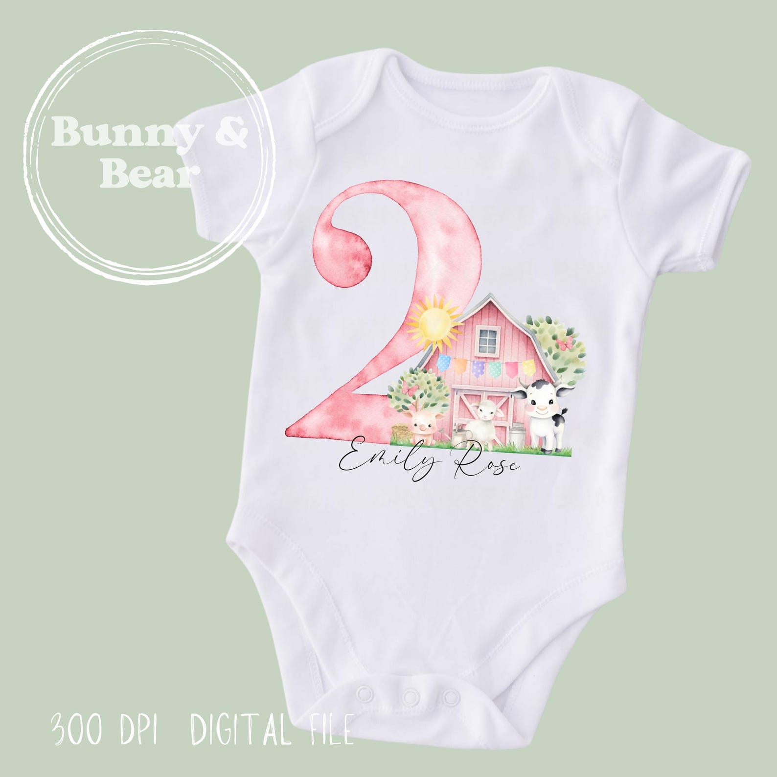 Pink Barn & Farm Animals Number 2 PNG, Birthday Tee Sublimation Design ...
