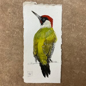 Green Woodpecker Watercolour Wall Art - Etsy
