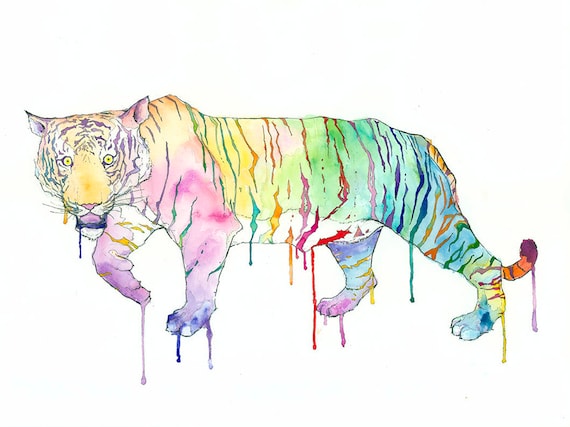 Rainbow Tiger Drawing