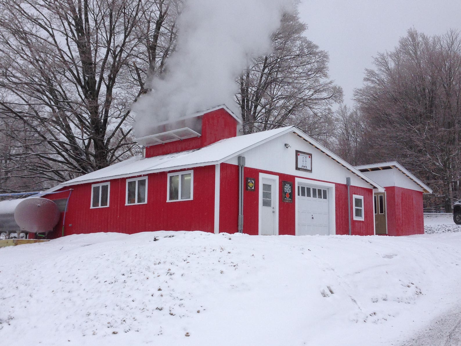 1 Half Gallon Organic Vermont Pure Maple Syrup, Made in Vermont USA ...