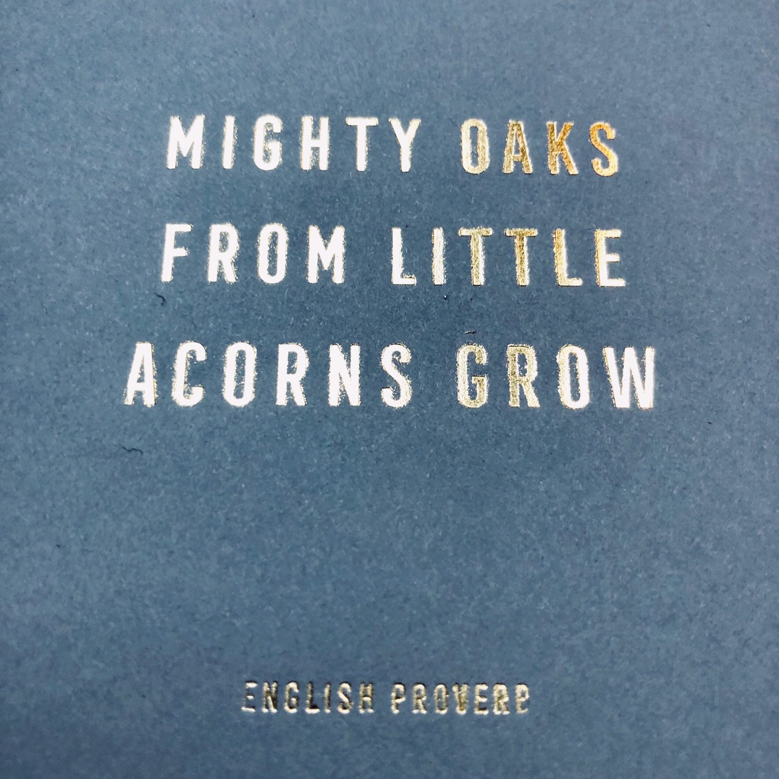 Mighty Oaks From Little Acorns Grow Gold Foil Hearth & Home - Etsy