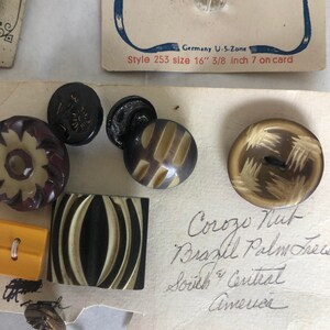 Button Collection of Mixed Buttons, Corozo Nut and Brazil Palm Tree ...