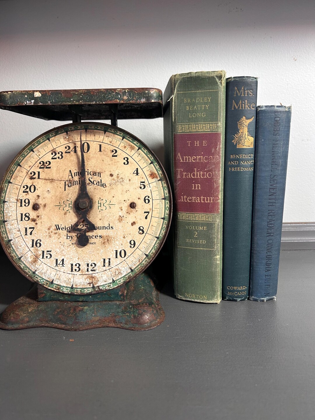 Vintage Books, Rustic Old Books in a Set of 3, Farmhouse Decor, Vintage ...