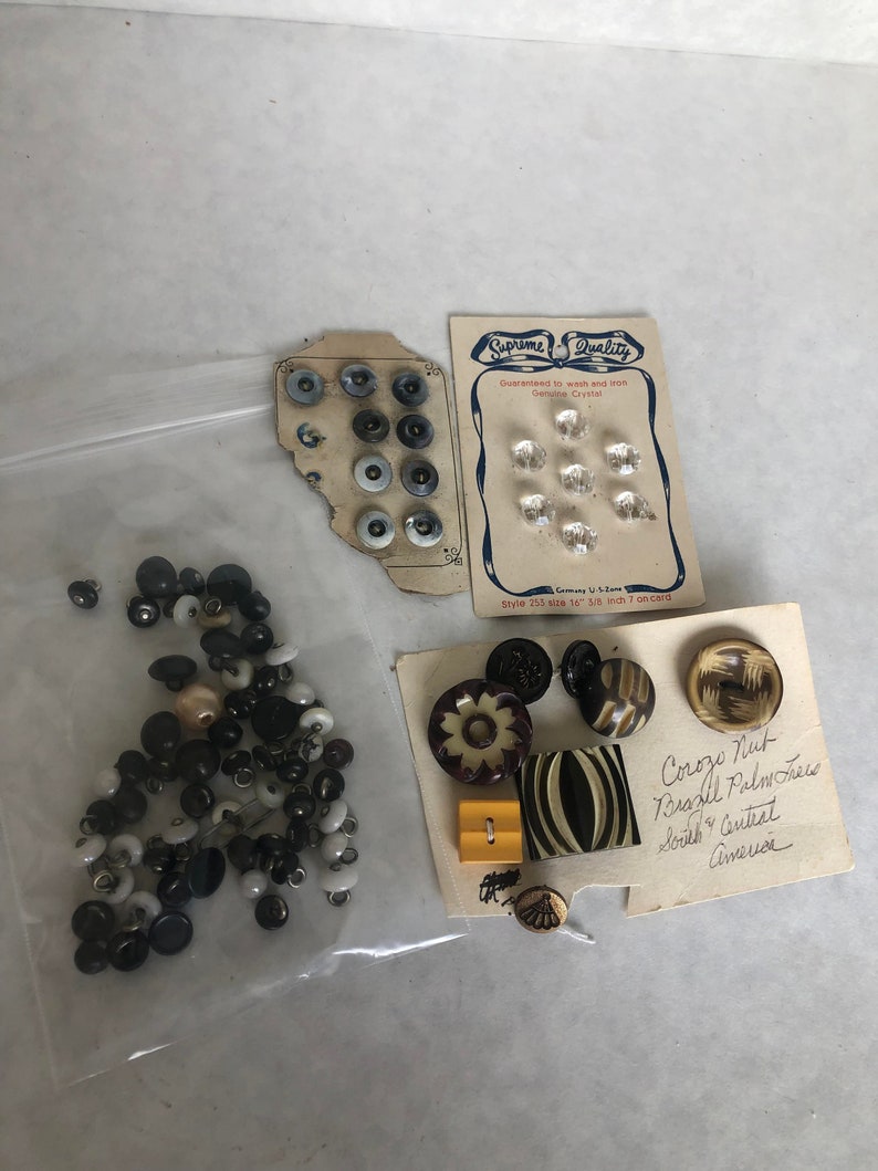 Button Collection of Mixed Buttons Corozo Nut and Brazil Palm - Etsy
