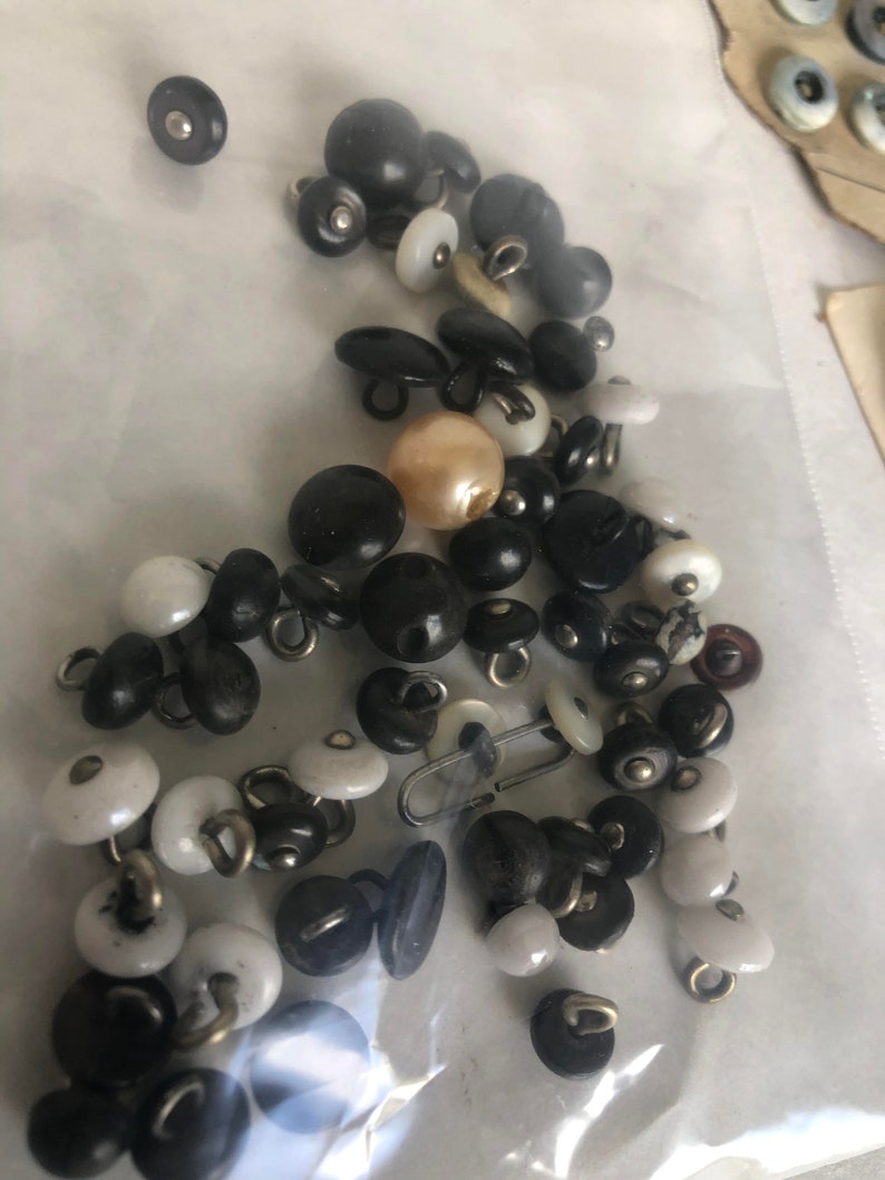 Button Collection of Mixed Buttons Corozo Nut and Brazil Palm - Etsy