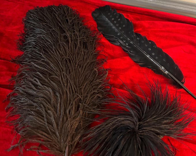 Antique Vintage Fluffy Black Ostrich Feathers Not Sure What Bird the ...