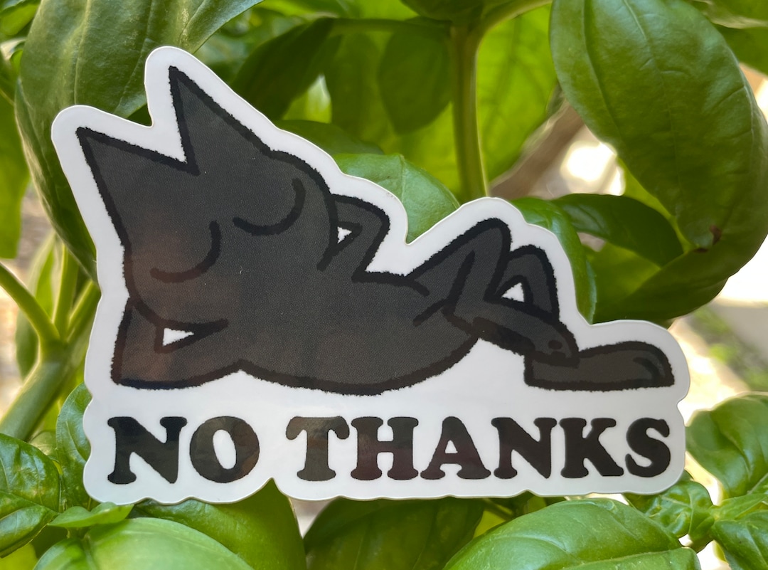 No Thanks Sticker - Etsy