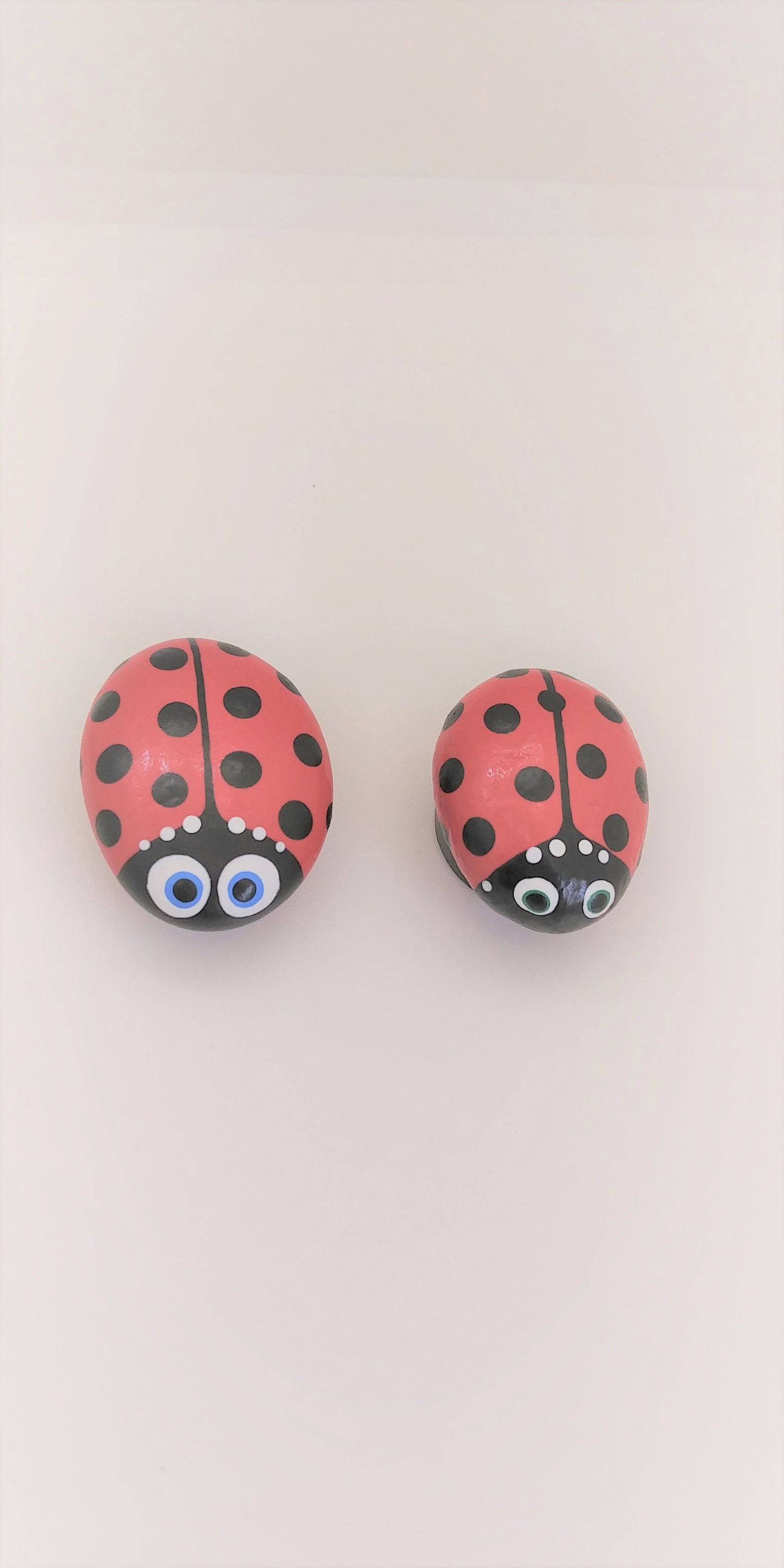 Ladybug Magnets, Hand Painted Kitchen Magnets, Gift Idea, Painted ...