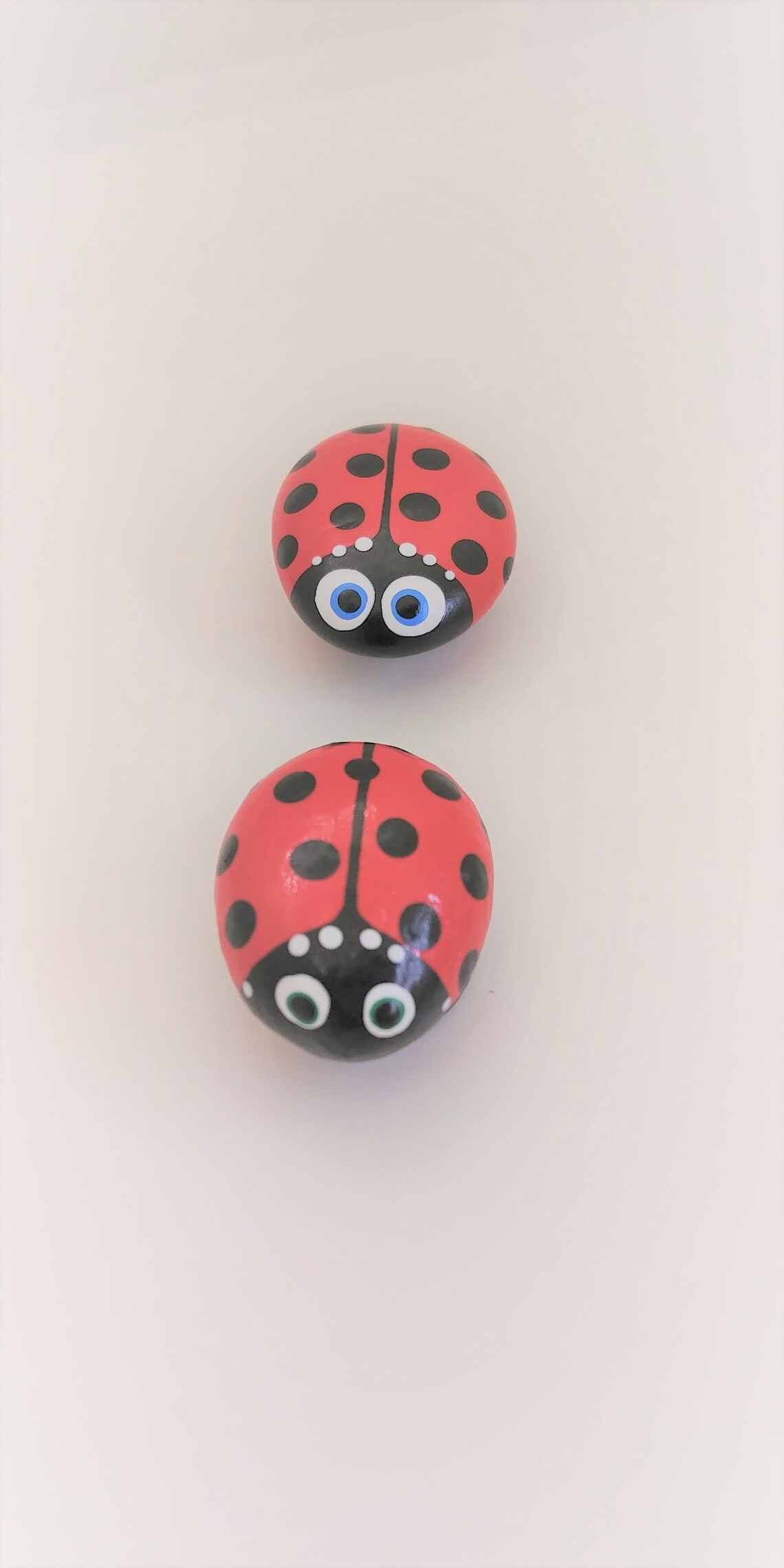 Ladybug Magnets, Hand Painted Kitchen Magnets, Gift Idea, Painted ...