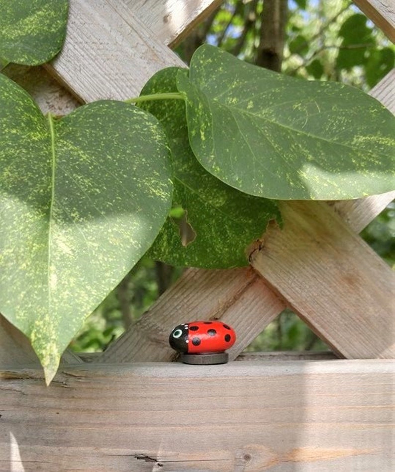 Ladybug Magnets, Hand Painted Kitchen Magnets, Gift Idea, Painted ...