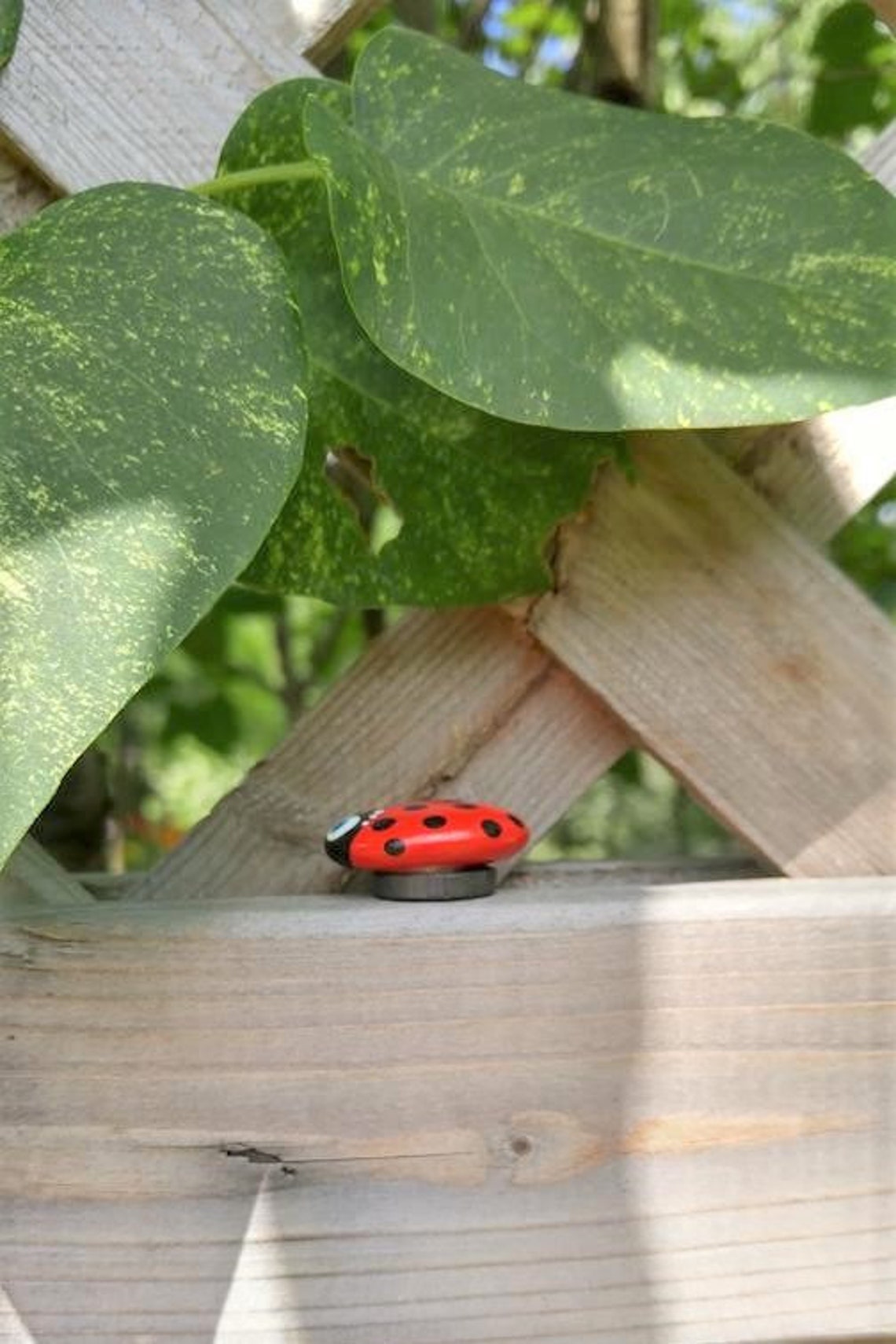 Ladybug Magnets, Hand Painted Kitchen Magnets, Gift Idea, Painted ...