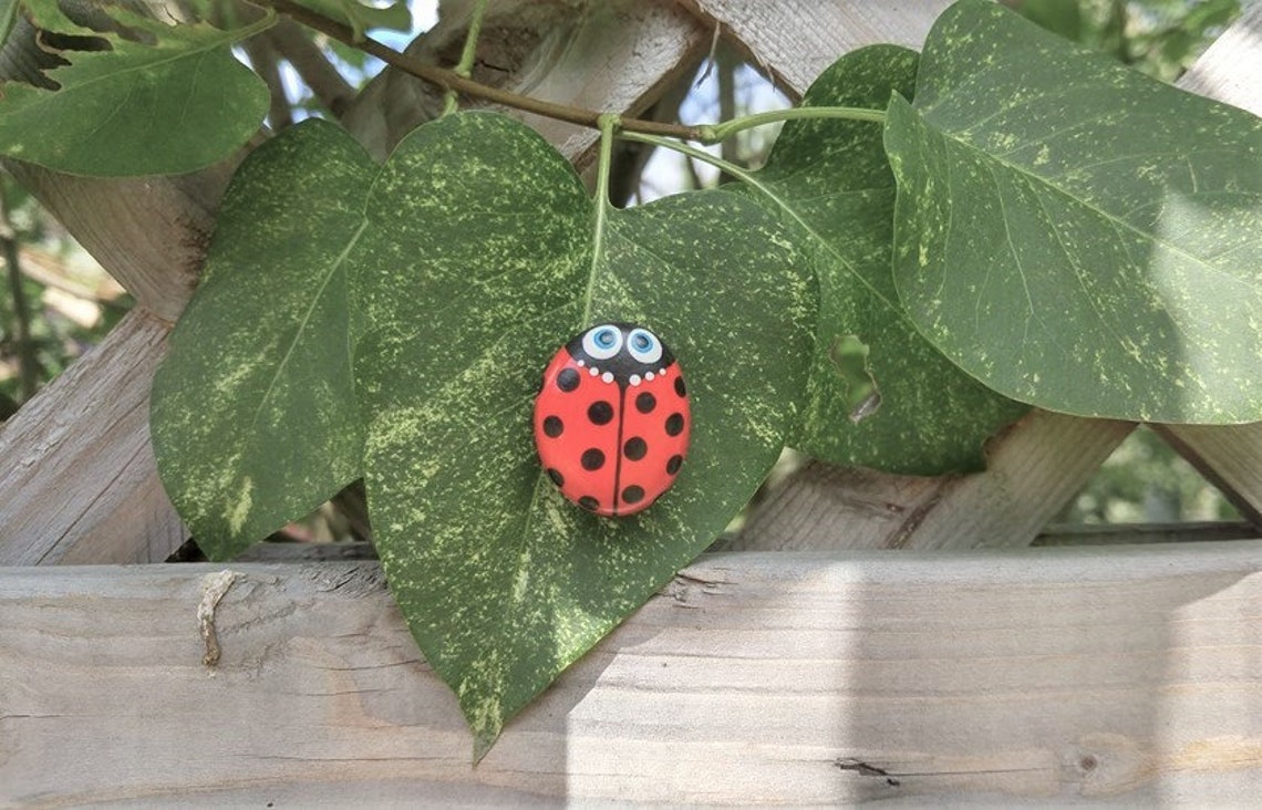 Ladybug Magnets, Hand Painted Kitchen Magnets, Gift Idea, Painted ...