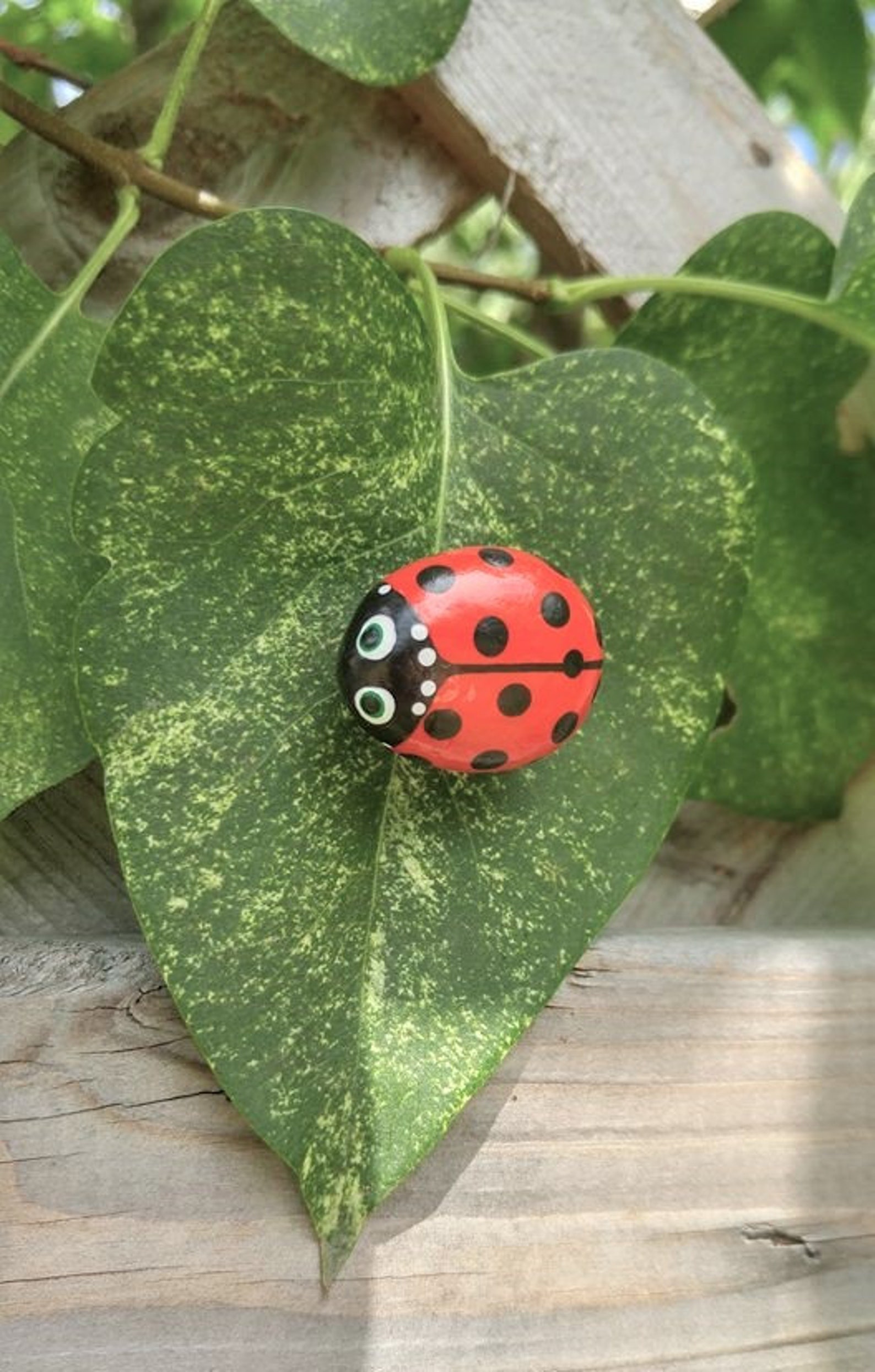 Ladybug Magnets, Hand Painted Kitchen Magnets, Gift Idea, Painted ...