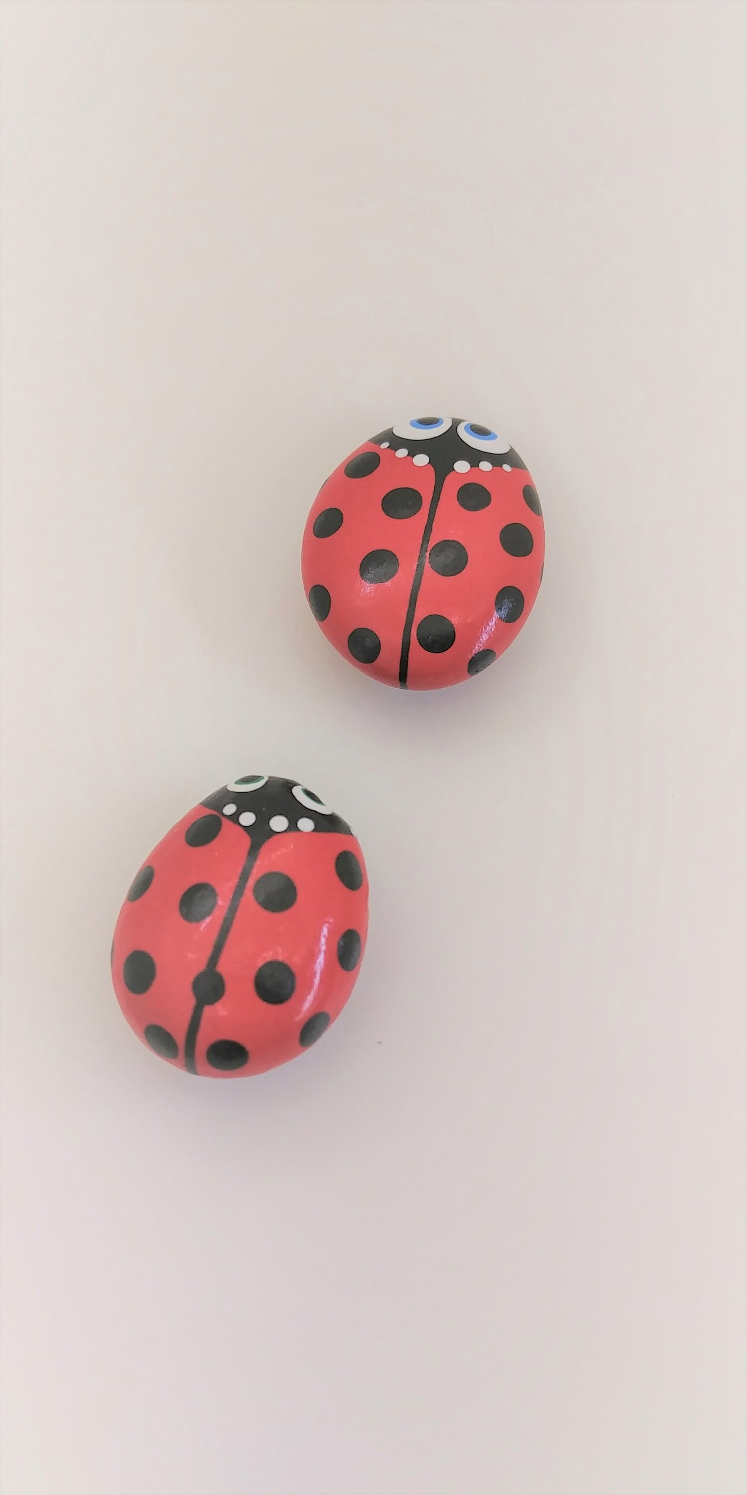 Ladybug Magnets Hand Painted Kitchen Magnets Gift Idea - Etsy Canada
