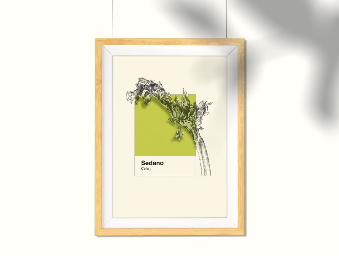 Digital Printing A4 Suitable for Kitchen Celery - Etsy Hong Kong