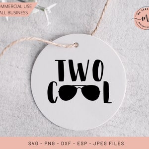 Two Cool Svg, 2 Birthday, Second Birthday, Two Years Old, Aviators Svg ...