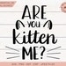 Are You Kitten Me Svg, Cat Svg, Kitten Svg, Cat T-shirt Svg, Cat Lover ...