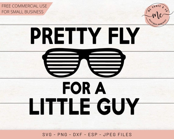 Pretty Fly for a Little Guy Svg Aviator Svg Baby Svg Boy - Etsy