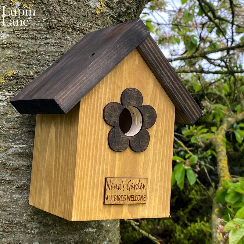 Bird Box - Etsy UK