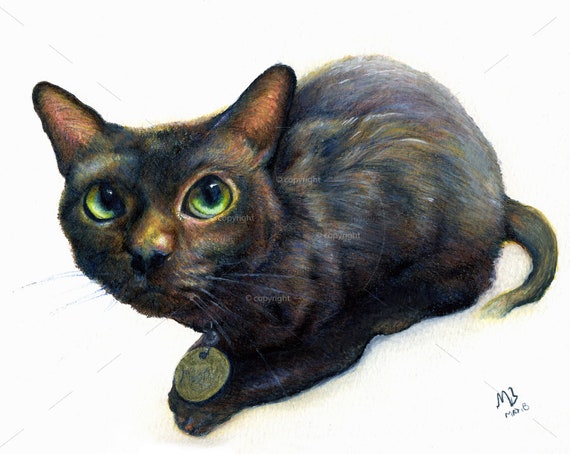 Burmese Cat art print of my watercolour pencil drawing. Unframed. — UK ...